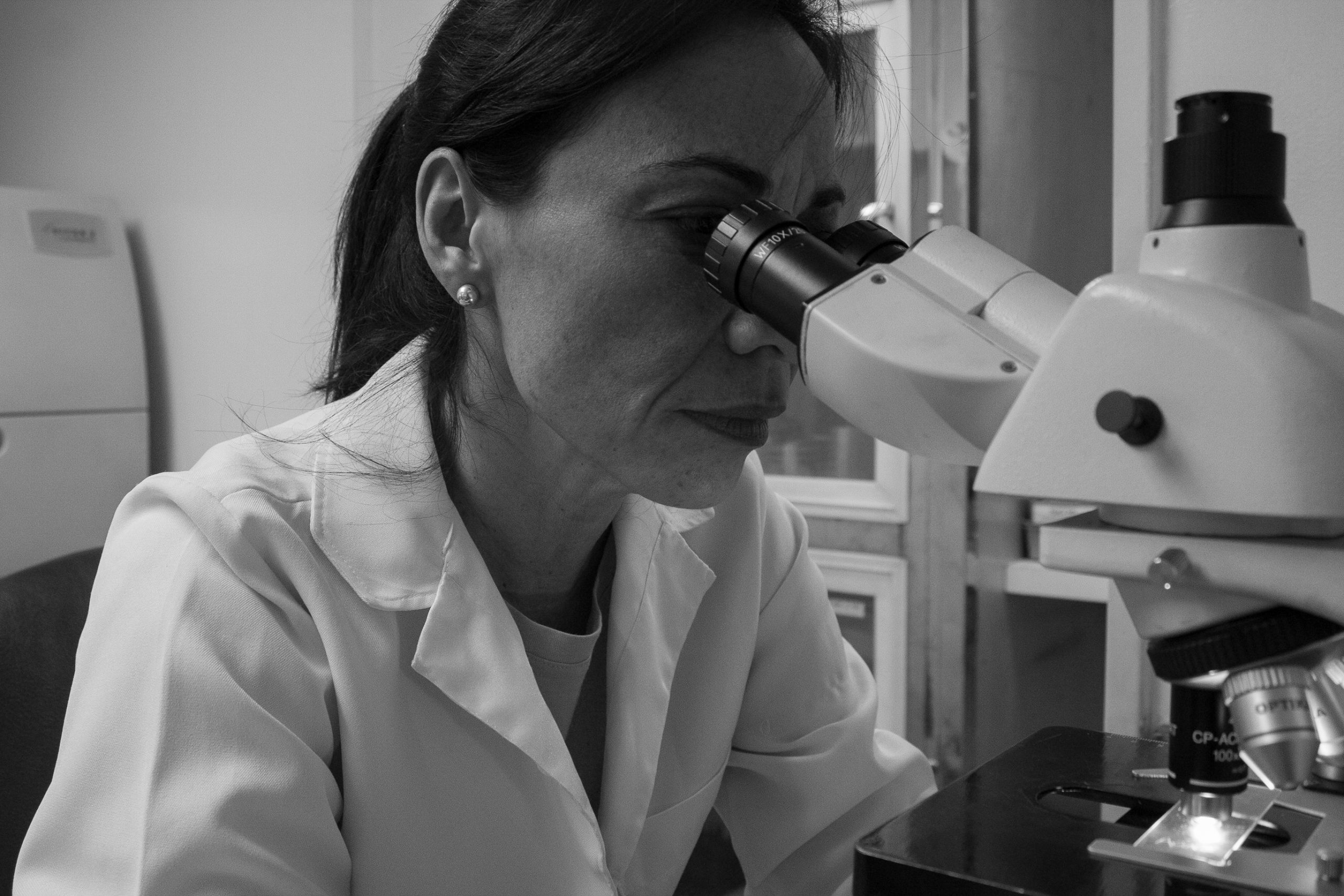 El Gram en la microbiología clínica – Diálogos de Micro